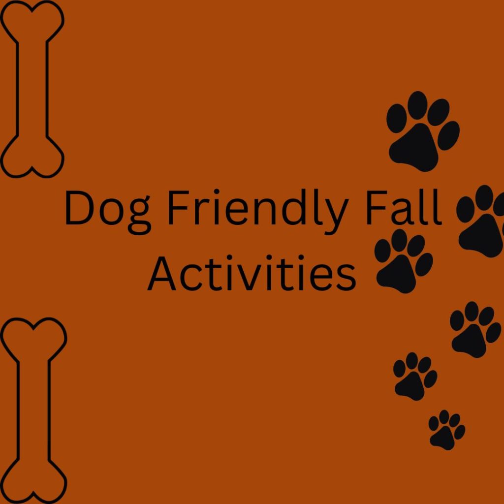 Dog Friendly Fall Activities - Heart of Lane
